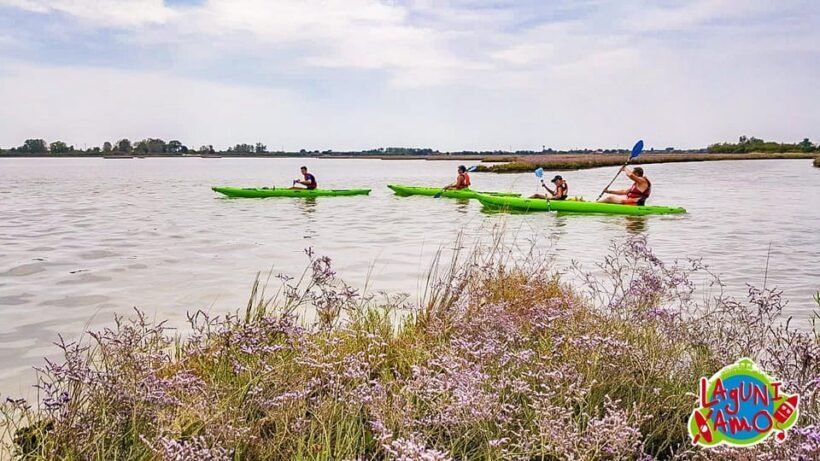 Cavallino-Treporti: Short Kayak Tour in the Venetian Lagoon - An In-Depth Look at the Kayak Tour Experience