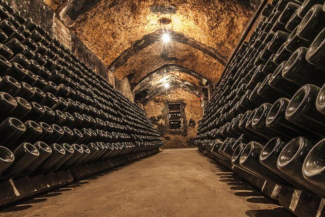 Cavas Freixenet Wine Tour from Mexico City - What’s the Value?