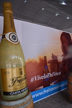 Cavas Freixenet Wine Tour from Mexico City - Who Should Consider This Tour?