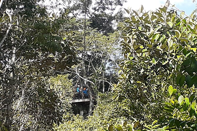 Cave Kayaking or Tubing, Ziplines and Altun Ha V.I.V. - Key Points