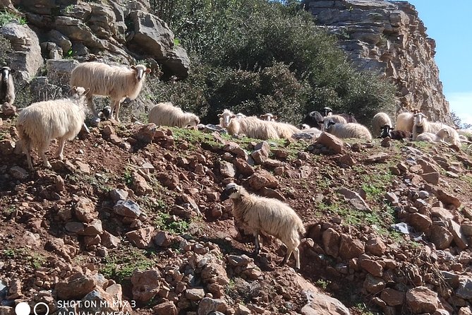 Cave Of Zeus - Participant Information