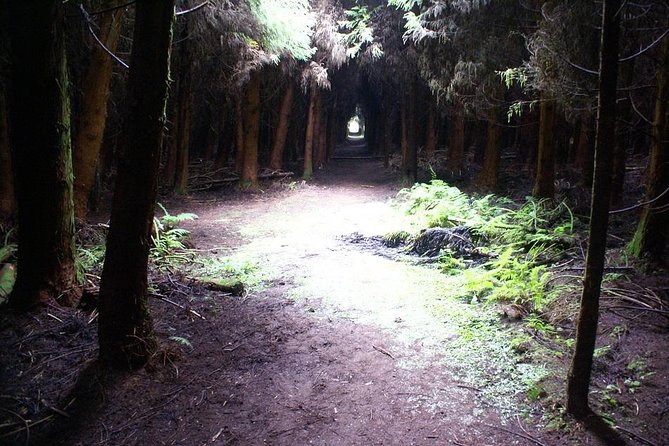 Cave Tour in Terceira - Geological Wonders and Cultural Insights