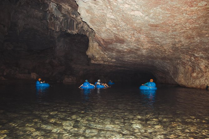 Cave Tubing With Local Tour Guide and Belizean Lunch - Observing the Local Flora and Fauna