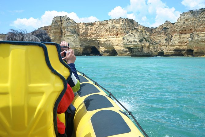 Caves and Dolphin Watching Cruise from Albufeira - The Sum Up: Who Will Love This Tour?