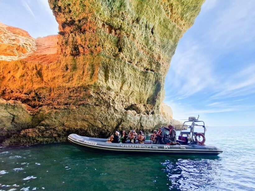 Caves & Dolphins - Combined Trip - Who Is This Tour Best For?