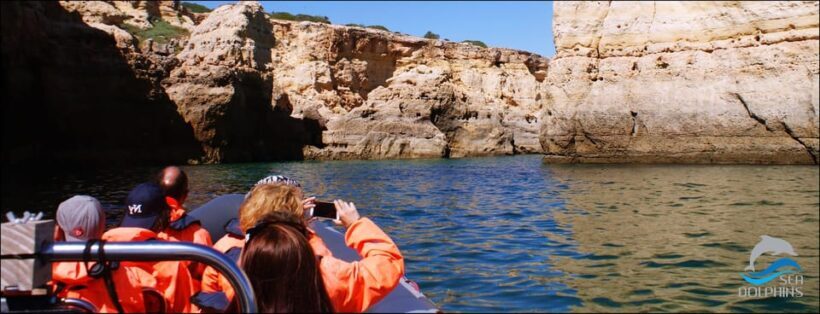 Caves & Dolphins - Combined Trip - The Sum Up: Who Should Consider This Trip?
