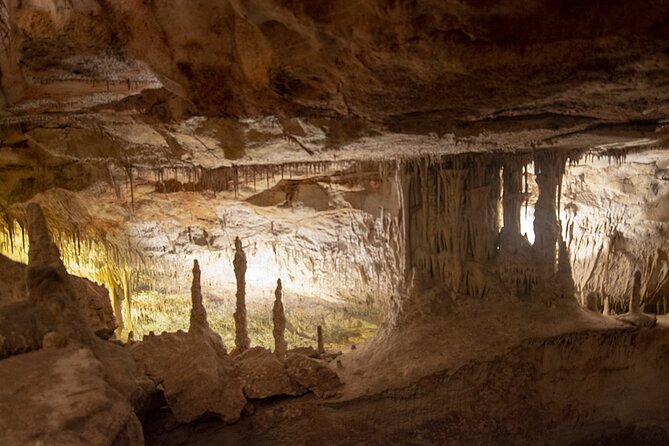 Caves Drach Boat Trip from Alcudia with Return Bus and Tickets - Frequently Asked Questions