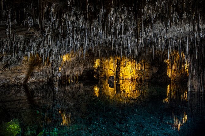 Caves Drach Tour & Return Transfer from Cala Dor-Calas Mallorca - The Itinerary Breakdown: What You Can Expect