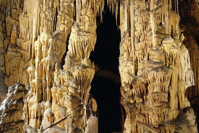 Caves Drach Tour & Return Transfer from Cala Dor-Calas Mallorca - Practical Insights and Considerations