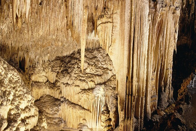 Caves Drach Tour & Return Transfer from Cala Dor-Calas Mallorca - Summing Up: Who Is This Tour Best For?