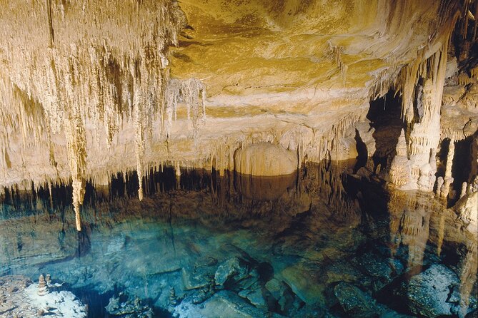 Caves Drach Tour & Return Transfer from Cala Dor-Calas Mallorca - Final Thoughts