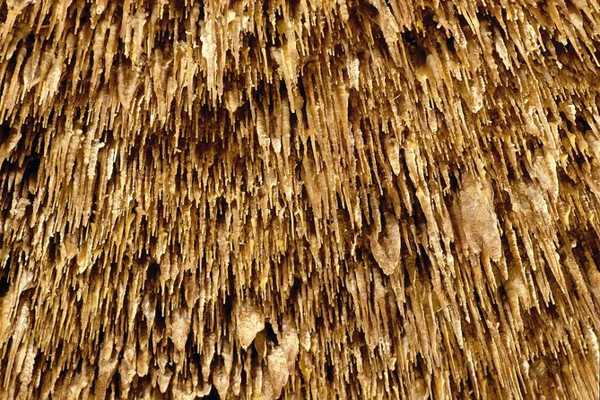 Caves of Drach Half-Day Tour With Boat Trip and Music Concert - Exploring the Caves of Drach