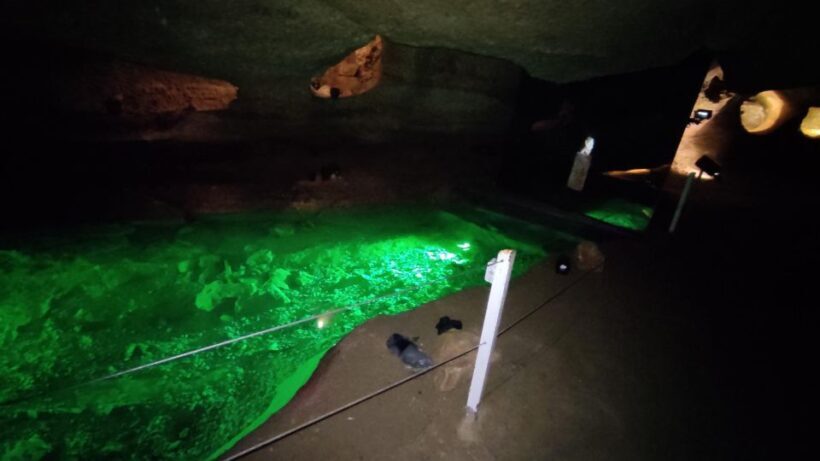 Caves prehistory of Esplugues Francolí with hotel pickup - The Sum Up: Is This Tour for You?