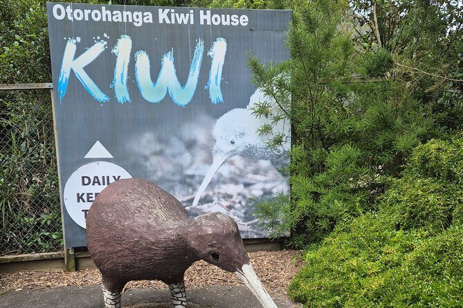 Caves to Kiwis E-Bike Rental - Who Would Enjoy This Experience?