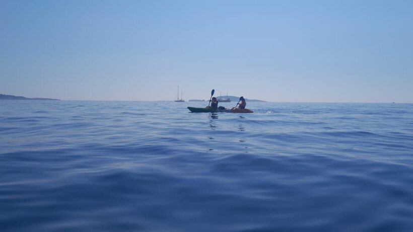 Cavtat: Guided Sea Kayaking Tour - Who Will Love This Tour?