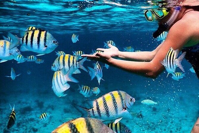 Cayman 3 in 1 Combo: Starfish Point, Stingrays and Reefs - Final Thoughts: Who Will Love This Tour?