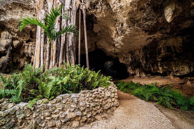 Cayman Adventure Stingrays Starfish plus Crystal Caves - The Sum Up: Is This Tour Worth It?