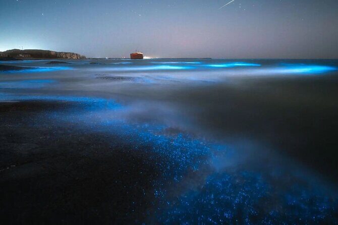 Cayman Bioluminescent Bay Night Tour - FAQs