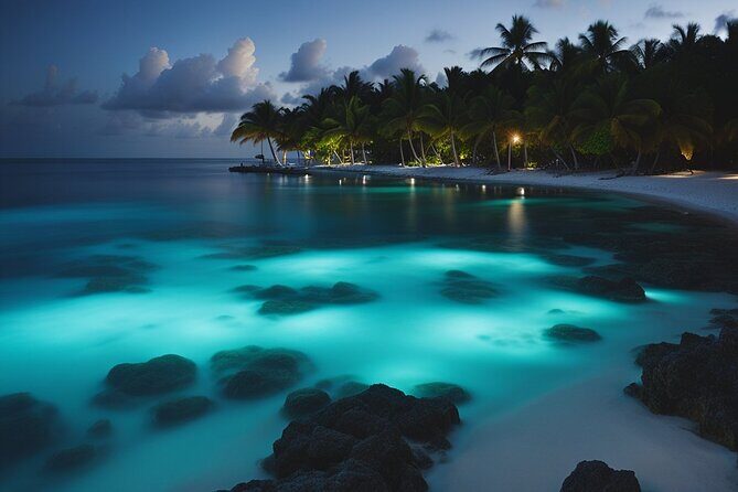 Cayman Bioluminescent Bay Night Tour - Concluding Thoughts