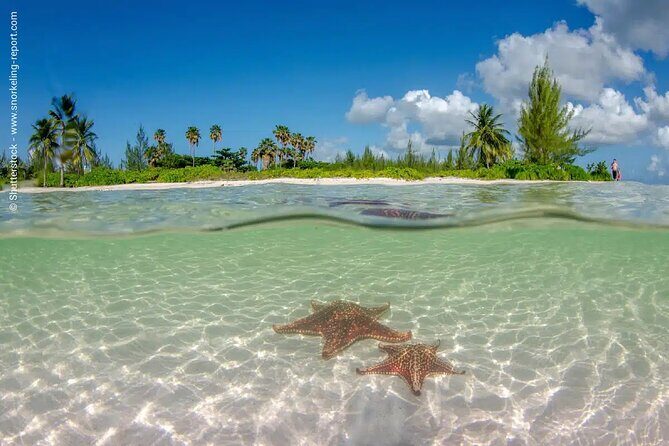 Cayman Combo Adventure: Stingray City, Starfish & Crystal Caves - Who Will Love This Tour?