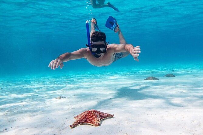 Cayman Combo Tour: Starfish Point, Stingray City & Coral Gardens - Key Points