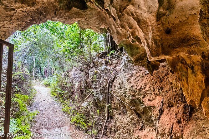 Cayman Crystal Caves Tour in Grand Cayman - In-Depth Review of the Cayman Crystal Caves Tour
