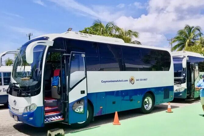 Cayman Island Eastern Districts Highlights - A Deep Dive into the Tour Experience