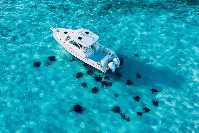 Cayman Private Luxury Charters - Stingray City, Snorkel, & More - Itinerary Breakdown: What to Expect