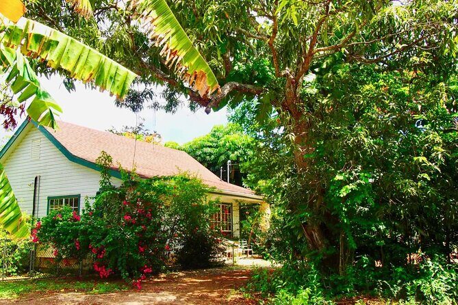 CaymanVisitor Hide & Seek GeoTour Self-Drive Tour - Meeting Point and Logistics