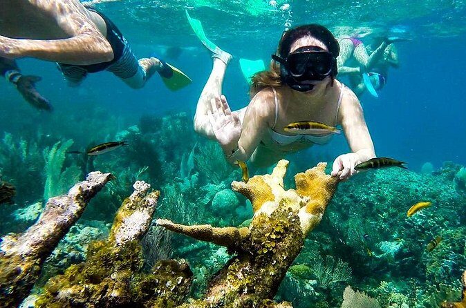 Cayo Arena Day Trip from Puerto Plata - Who Is This Trip Best For?