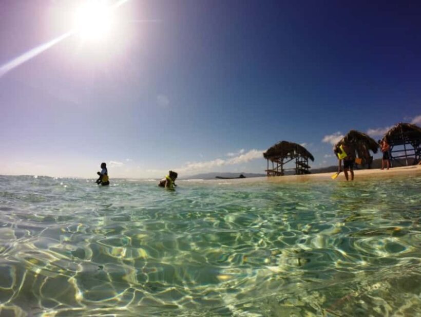 Cayo Arena: Paradise Island and Mangroves Tour - Who Will Love This Tour?