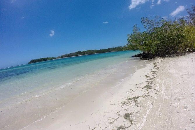 Cayo Arena, Paradise Island Tour - Exploring the Mangroves
