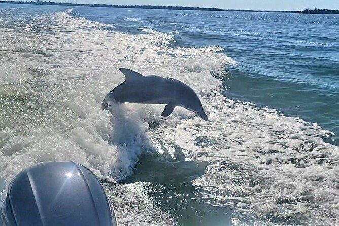 Cayo Costa Private Power Boat Experience - The Value of a Private Tour