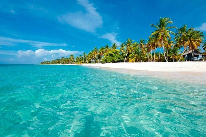 Cayo Levantado, Isla Bacardí and Whale Watching in Samaná - Final Thoughts: Who Will Love This Tour?