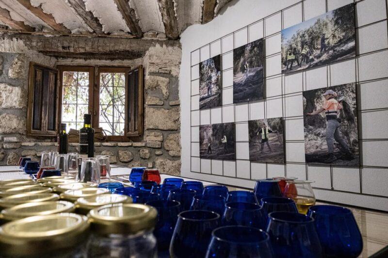 Cazorla: Olive oil tasting - Discovering Olive Oil in Cazorla: A Practical Tasting Experience