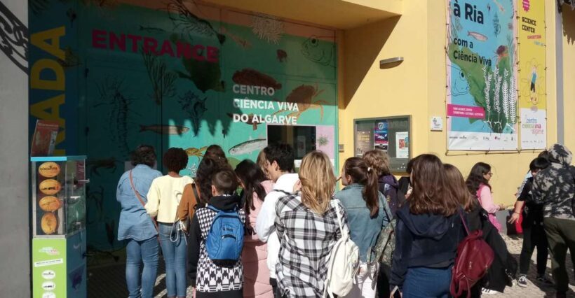 CCVAlgarve Individual Ticket - An In-Depth Look at the Experience