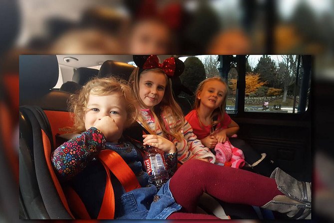 CDG - Euro Disney - CDG Two Way Private Shuttle Transfer - Pickup and Drop-off Details