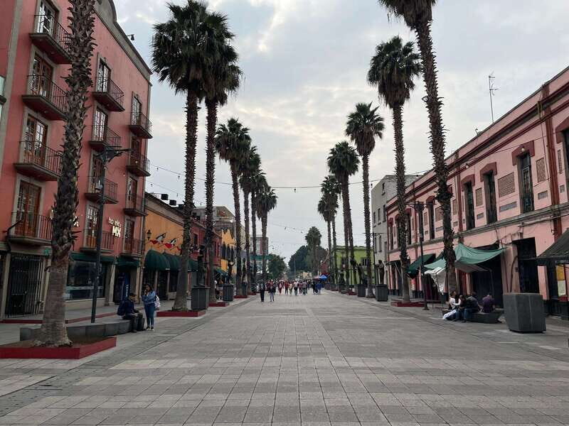 CDMX: Garibaldi Copa Show - Analyzing the Value