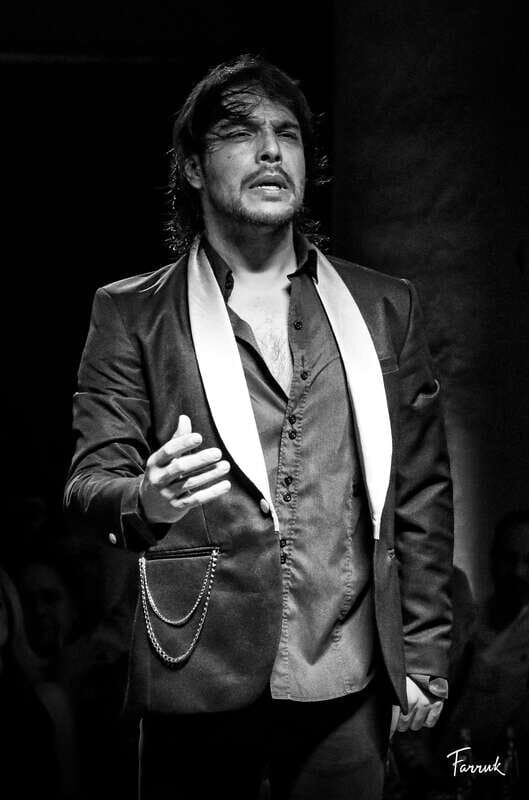 CDMX: Live Flamenco Show and Dinner - An Authentic Flamenco Night in Mexico City: What You Can Expect