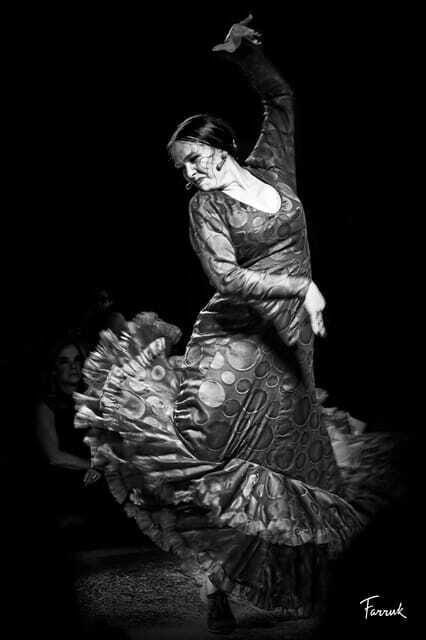 CDMX: Live Flamenco Show and Dinner - The Sum Up