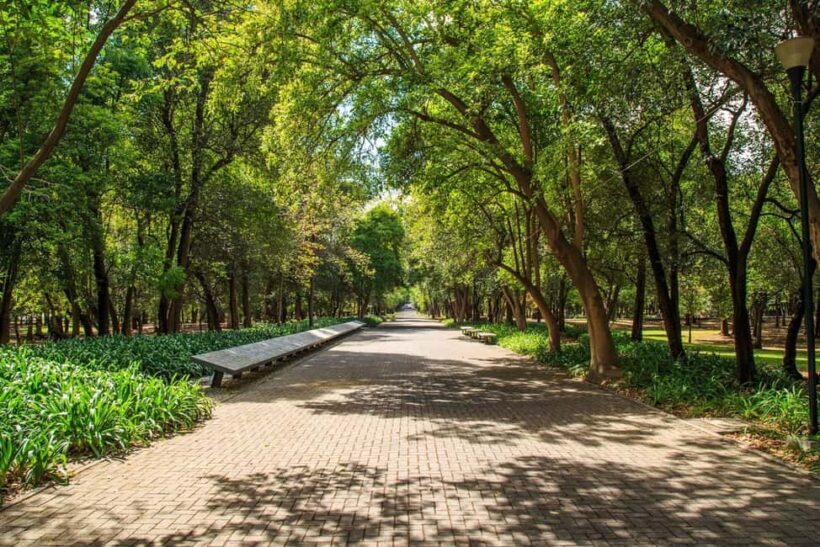 CDMX: Private bicycle tour through the Chapultepec Forest. - The Bottom Line: Who Should Book This Tour?