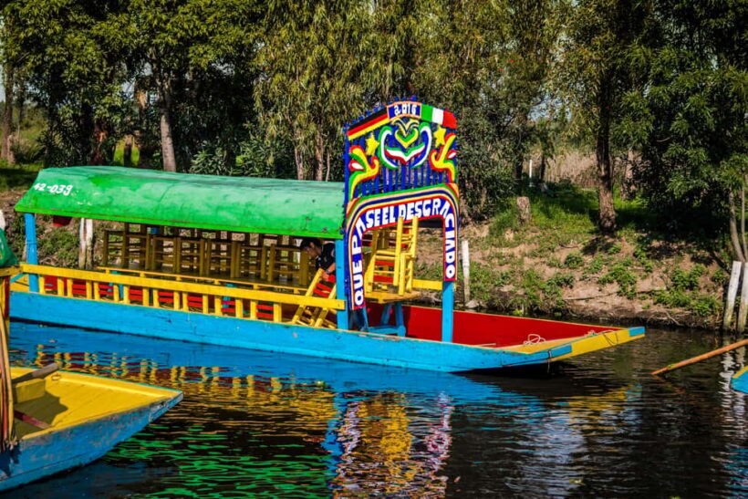 CDMX: Private tour of Xochimilco, Coyoacán, and the Frida Museum - What Makes This Tour Stand Out?