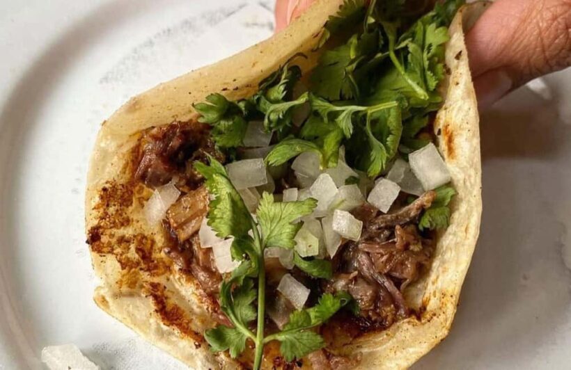 CDMX: Tacos and mezcal night tour - Key Points