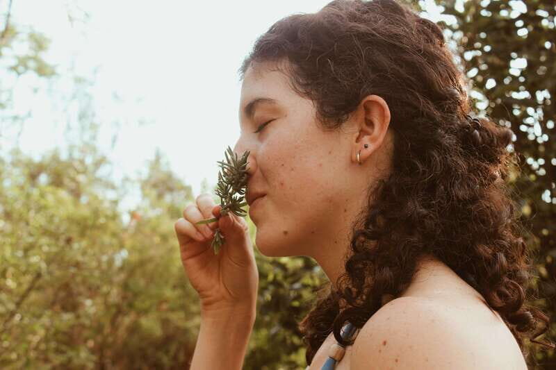 CDMX: TEMAZCAL Healing & cleansing ceremony ritual zapoteco - An In-Depth Look at the Temazcal Experience