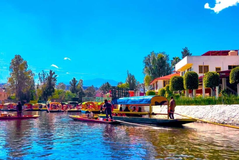 CDMX: Trajinera party in Xochimilco with tacos, music, and drinks - The Experience Breakdown: What to Expect