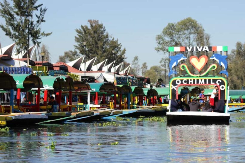 CDMX: Trajinera party in Xochimilco with tacos, music, and drinks - Final Thoughts