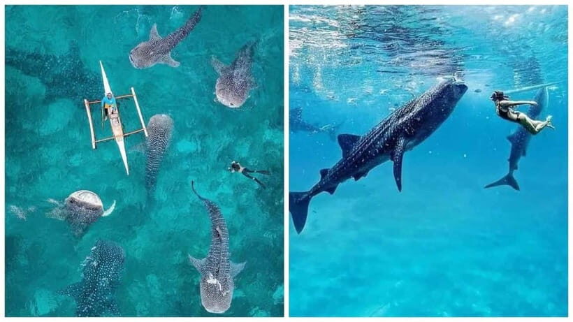 Cebu: 4 Days and 3 Nights Cebu Tour Package - Key Points