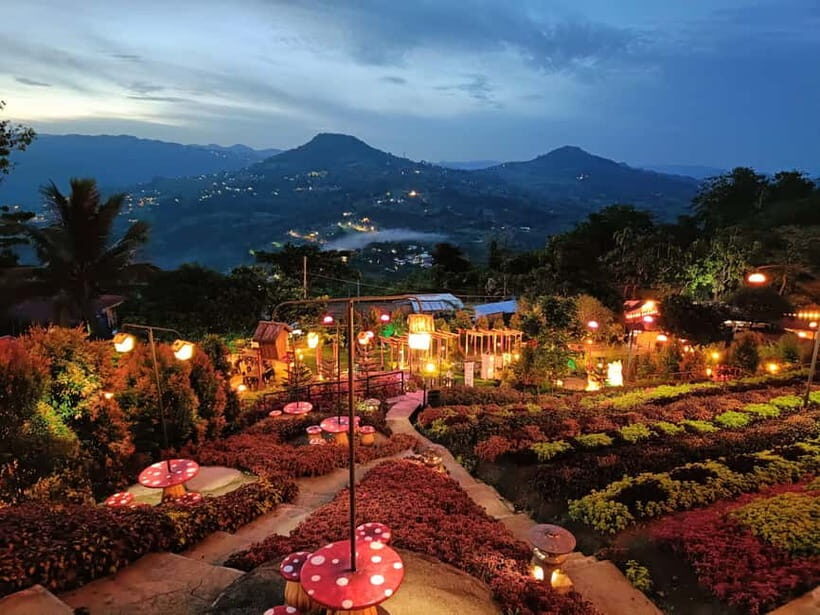 Cebu: 4 Days and 3 Nights Cebu Tour Package - Who Will Enjoy This Tour?