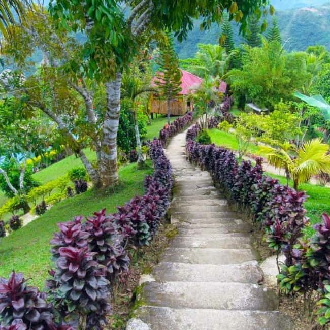 Cebu Balamban Uphill Adventure Tour - A Practical Guide to the Cebu Balamban Uphill Adventure Tour