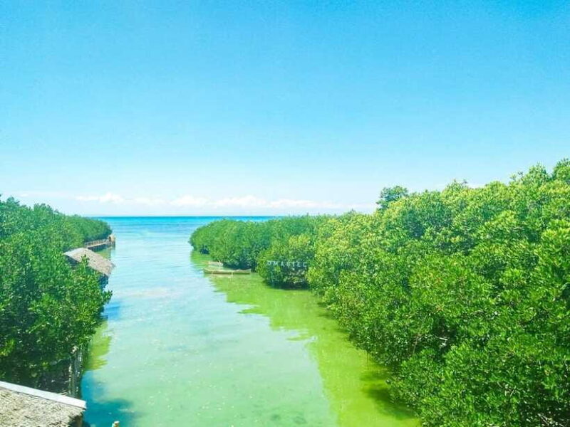 Cebu Bantayan Island Day Tour (Private Tour) - The Sum Up